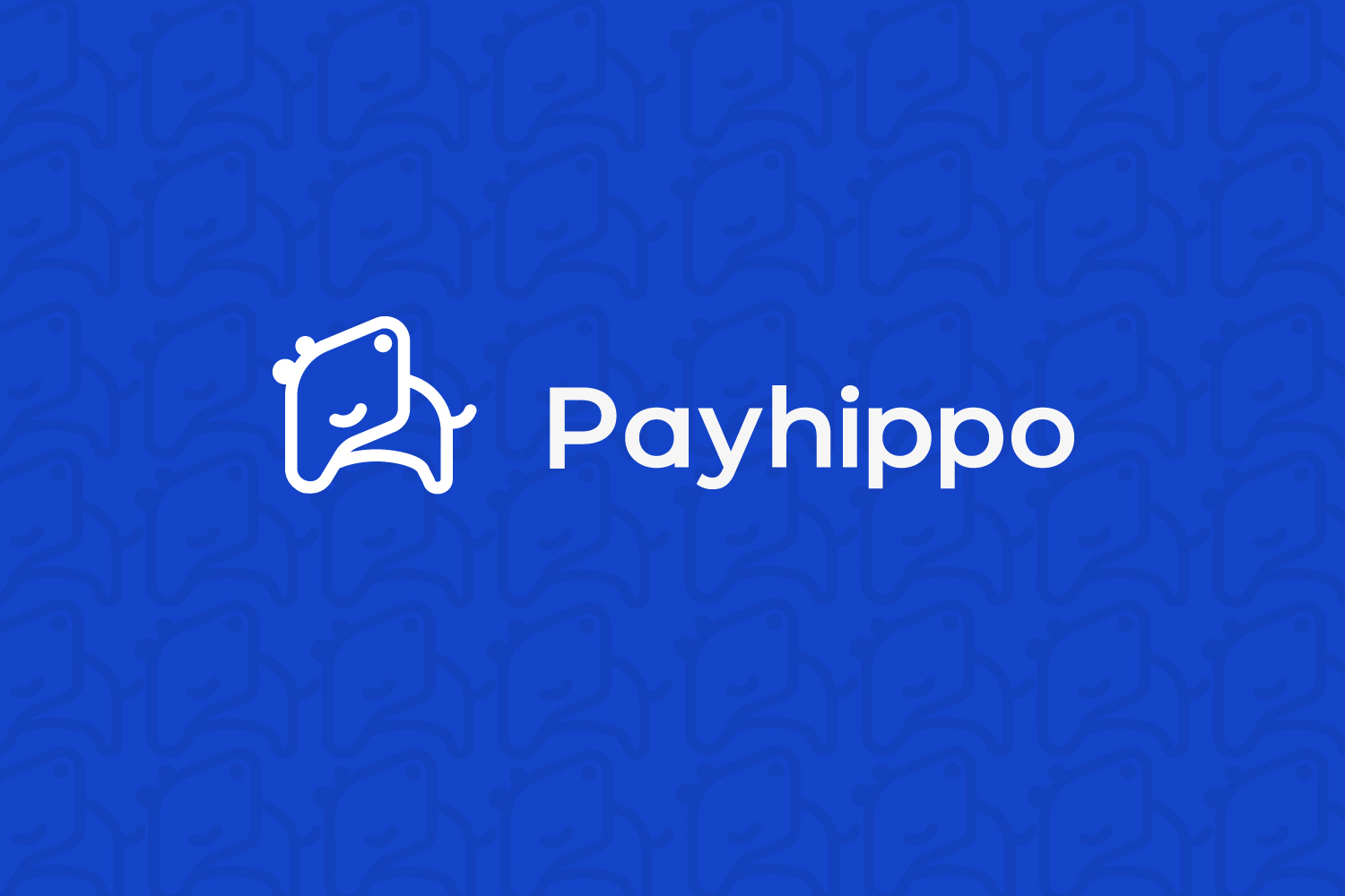 PayHippo - D'Oyin